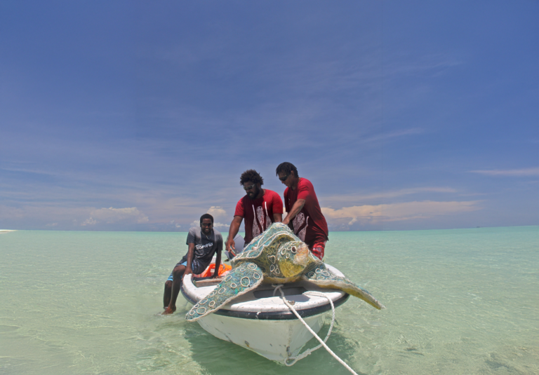 The art of ghostnets - Fondation Opale